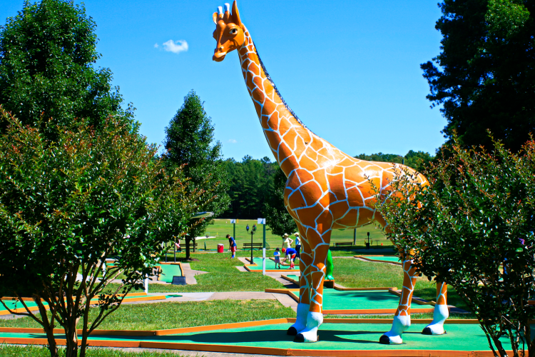 Patterson Golf Park – Richmond's Best Mini Golf and Driving Range